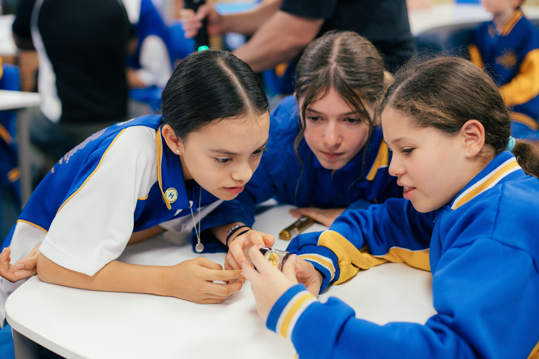 Gold Resources Kit - National Gold Education Program